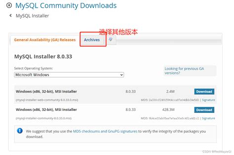 windows安装mysql8 0 23版本成功示例 免安装 mysql 免安装 csdn博客