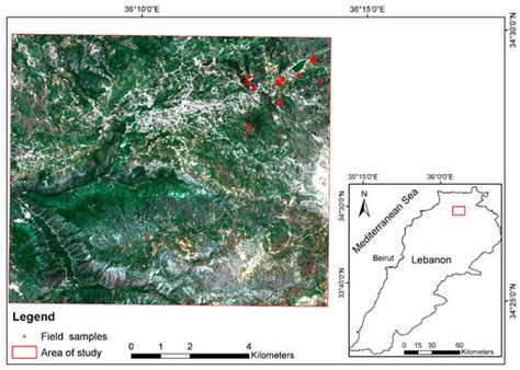 Remote Sensing Free Full Text Flexiblenet A New Lightweight Convolutional Neural Network