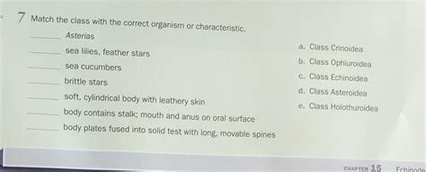 Solved 7 Match The Class With The Correct Organism Or