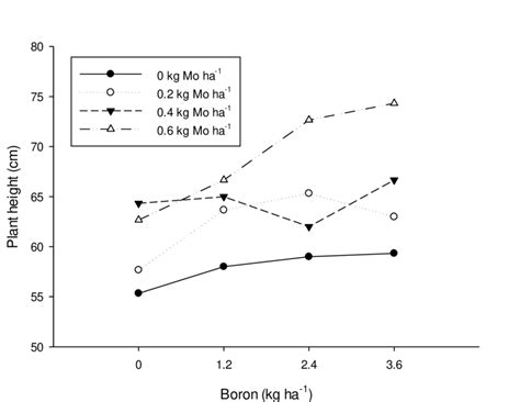 Effect Of Molybdenum And Boron On Plant Height Cm Of Chickpea