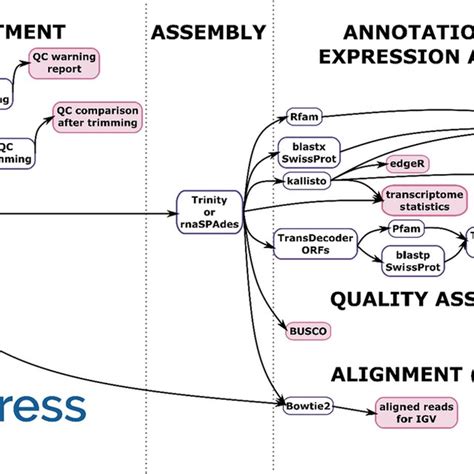 A Schema Of The Data Processing Steps Performed By The TransXpress Download Scientific Diagram