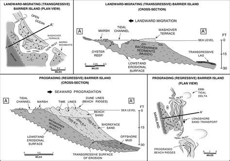 Morphology And Subsurface Three Dimensional Configuration Download Scientific Diagram