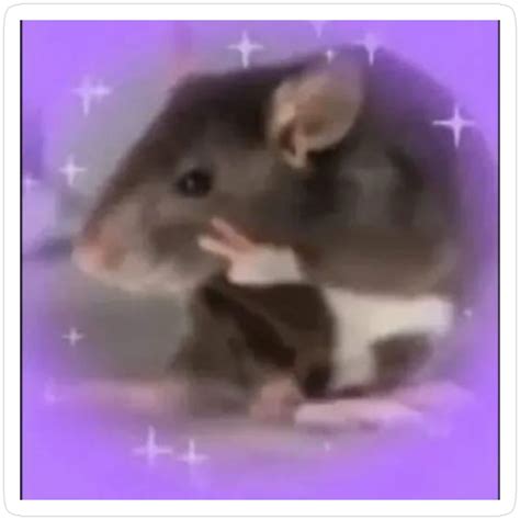 Mouse Meme Sticker In 2025 Funny Spanish Memes Cute Memes Really