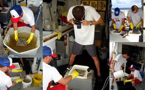 American Samoa And The Pacific Remote Islands Autonomous Reef Monitoring Structure Arms