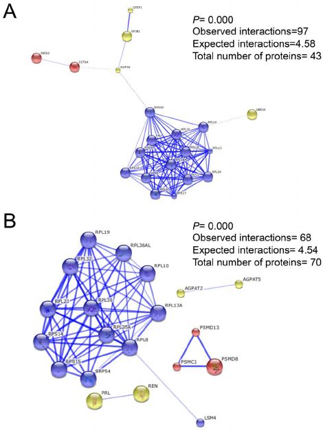 Individual Heatmap Representation Of The Transcriptome Analysis A Download Scientific Diagram