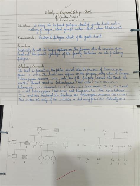 Practical 131415 Pdf