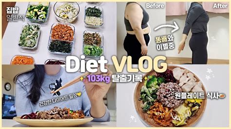 다이어트 브이로그 드디어 앞자리 6 😭103kg 69kg 변화 아랫배 복근운동홈트원플레이트 집밥 일반식 다이어트식단diet Vlog 마켓컬리 쇼핑까사미아