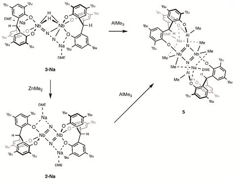 Lewis Acid Induced Dinitrogen Cleavage In An Anionic Side On End On Bound Dinitrogen Diniobium