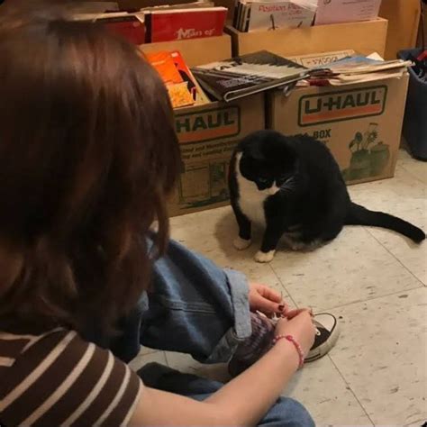 پروفایل دخترانه مود تنهایی گربه گربه تاوعکس