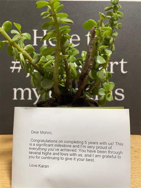 mohini kumar on linkedin 5years weworklabs weworklabs careerdevelopment companyculture