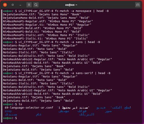 Request Better Arabic Font For Ubuntu 2004 117 By Gunnarhj Desktop Ubuntu Community Hub