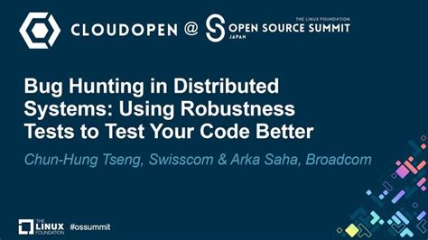 Bug Hunting In Distributed Systems Using Robustness Tests To Test