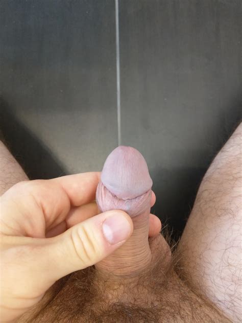 Just A Flaccid Cock 2 Nude Pics Xhamster
