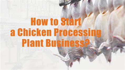 How To Start A Chicken Processing Plant Business Eruis