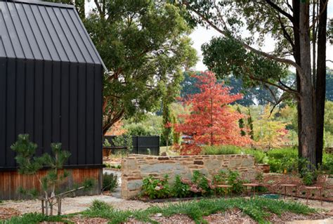 Planting Trees Near Your Home Proper Distances For Safety