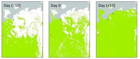 Research Gaps In Satellite Mapping For Snow — Custom Binary Snow Maps