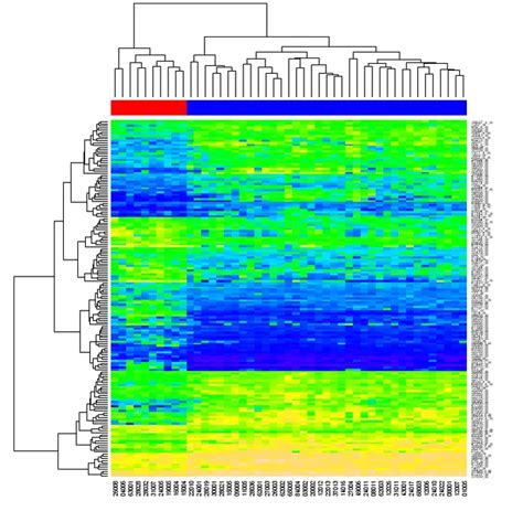 Using R To Draw A Heatmap From Microarray Data