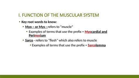 Muscular System Structure And Function Pptx