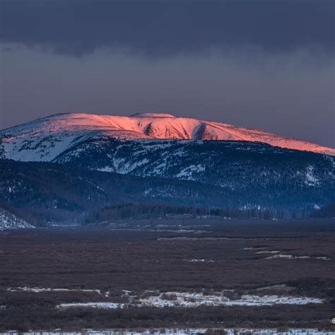 Enter Mn Австрийн Ерөнхийлөгч түүхэнд анх удаа Монгол Улсад айлчилж байна Австри бол Монгол