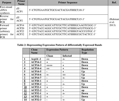 Primer Sequences Used For Cdna Synthesis And Annealing Control Primer Download Table