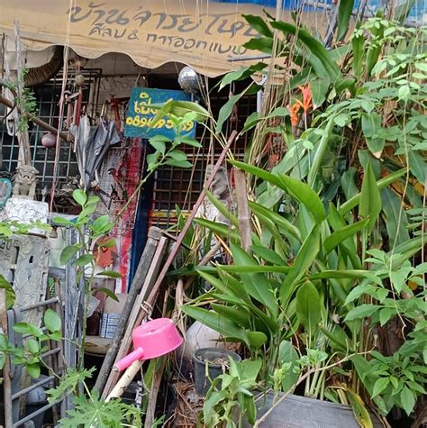 สถาบันพลังจิตตานุภาพ สมเด็จพระญาณวชิโรดม พุทธาคมวิศิษฐ์ จิตตา นุภาพ พัฒนดิลก สาธกธรรมวิจิตร