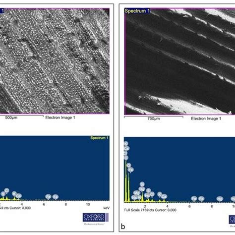 A Standard Proline B Proline Content In Hg Treated I Globosa