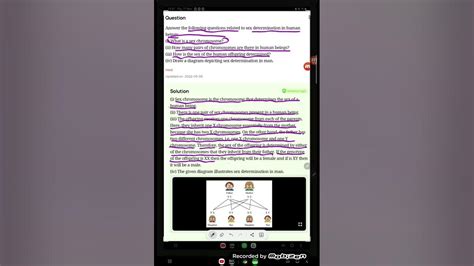 Answer The Following Questions Related To Sex Determination In Human