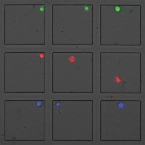 Fluidfm Fluidic Force Microscopy