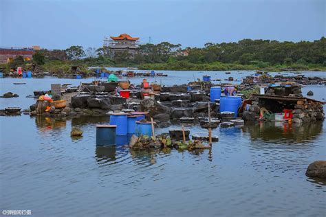 难得一见的海南古盐田千年海水晒盐技艺彰显古人劳动智慧 搜狐大视野 搜狐新闻
