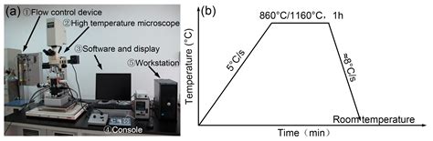 In Situ Observation Of The Grain Growth Behavior And Martensitic
