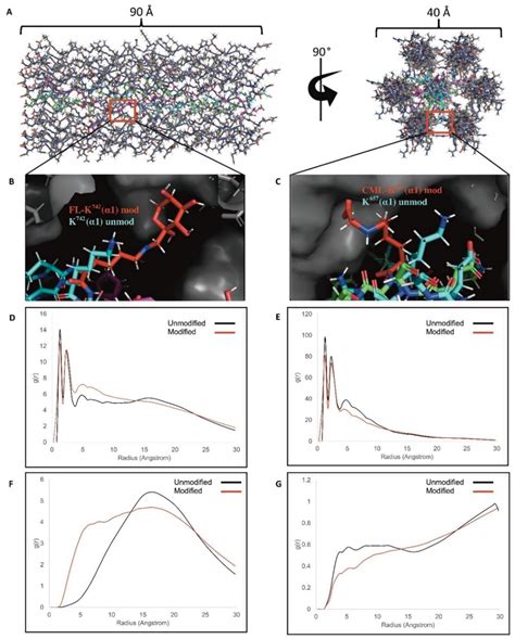 A Map Of Glycation And Glycoxidation Sites In Collagen I Of Human