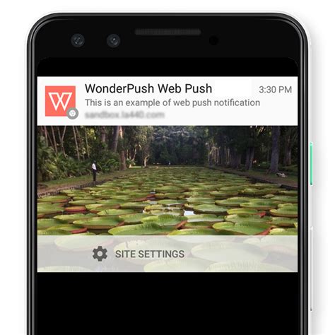 10 Best Woocommerce Custom Notification Plugins 2025