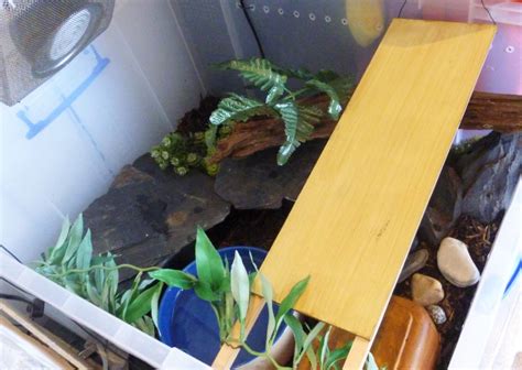 Legless Army Snake Tubs Solo The Royal Python Ball Python