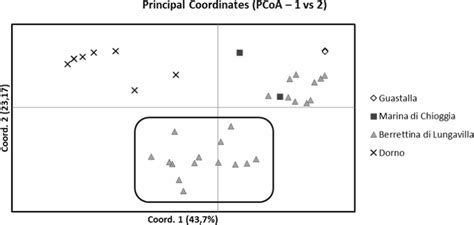 Principal Coordinate Analysis Pcoa Of Aflp Data Obtained From Download Scientific Diagram