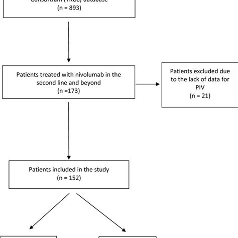 Flowchart Of Patient Selection Piv Pan Immune Inflammation Value