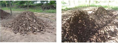 Composting Windrows Download Scientific Diagram