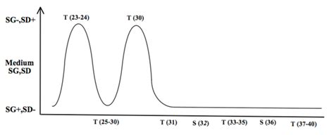 Semantic Waves Of Classroom Interaction Download Scientific Diagram