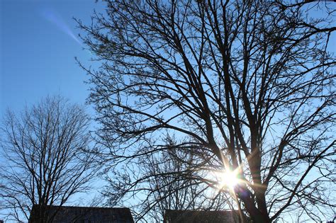 Assignment4all Flickr