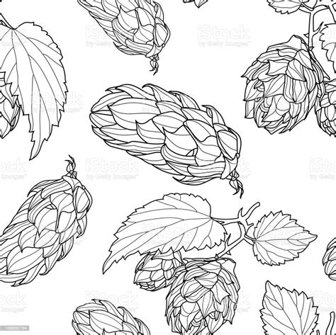 손으로 그린된 홉 완벽 한 패턴 일반적인 홉 또는 잎과 콘 Humulus Lupulus 지점 벡터 일러스트입니다 고풍스런에 대한 스톡 벡터 아트 및 기타 이미지 Istock