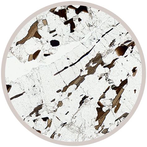 Garnet Biotite Augen Gneiss