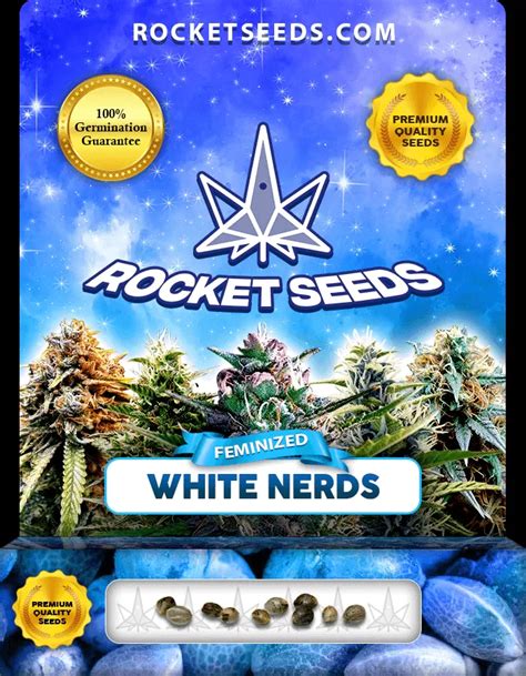 White Nerds Feminized Seeds Rocket Seeds