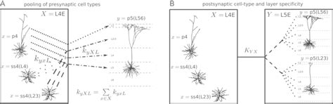 Constructing Spatial Synaptic Connectivity For The Cortical