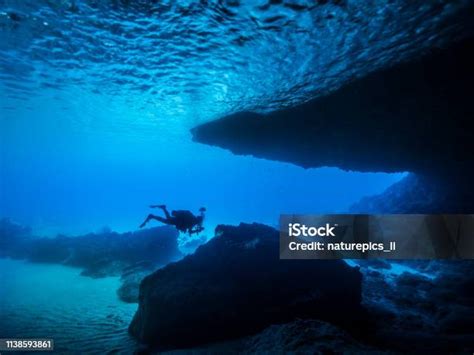 다이빙 사이트 블루 룸 특별 한 동굴에서 퀴 라 소 주위 카리브 해의 산호 암초의 바다 경산호에 대한 스톡 사진 및 기타 이미지 경산호 광각 네덜란드령 앤틸리스 제도