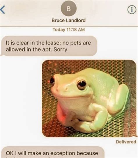 40 Cheaters Who Got Caught Via Text Messages Funny Texts Funny Messages Funny Conversations