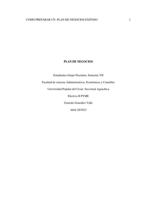 Plan De Negocios Electivaii Pdf Plan De Negocios Marketing