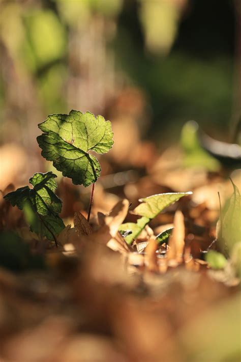 Lockscreen Background Photos Download The Best Free Lockscreen