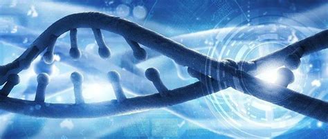 意想不到：crispr基因编辑会导致可遗传的基因组结构突变 Crispr Cas 研究 进行