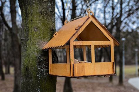 Winter Bird Feeder On The Tree Stock Photo Image Of Rope Ornithology 264166980