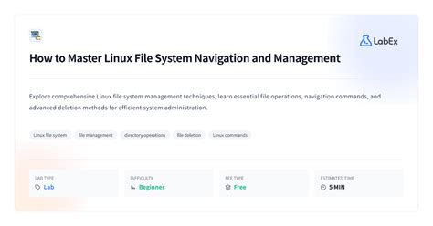 How To Master Linux File System Navigation And Management Labex