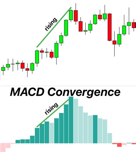 How To Trade With MACD Divergence Indicator ForexBee